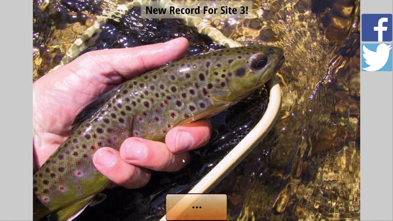 Fly Fishing Simulator HD Premium - 2020 PC Gameplay - YouTube