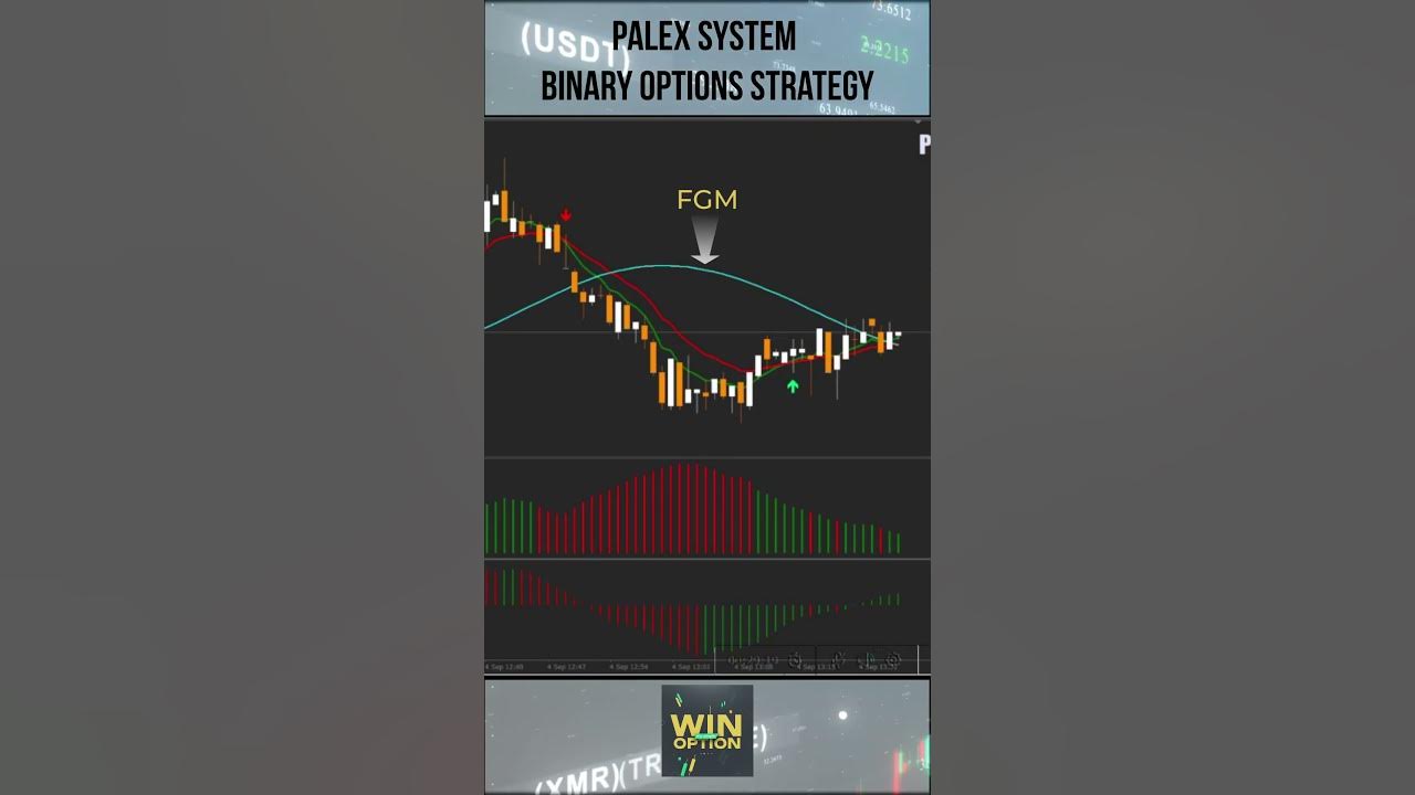 Palex System binary options strategy - YouTube