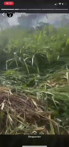 acidente: veículo dirigido por padre sai da estrada - YouTube