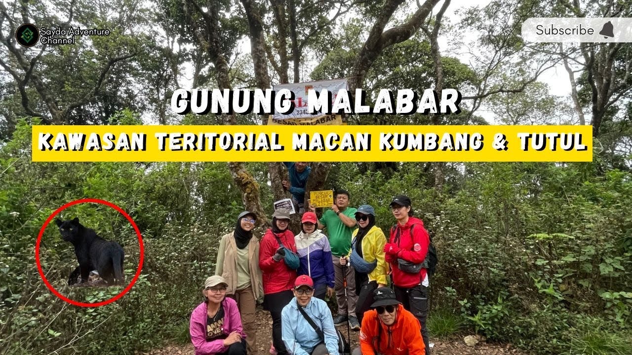 MENDAKI SALAH SATU 7 SUMMIT JAWA BARAT || PUNCAK BESAR GUNUNG MALABAR ...