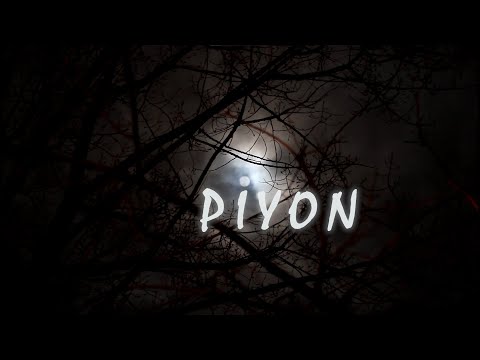 Piyon - Kısa Korku Filmi (Kamera Çekim Teknikleri Final)