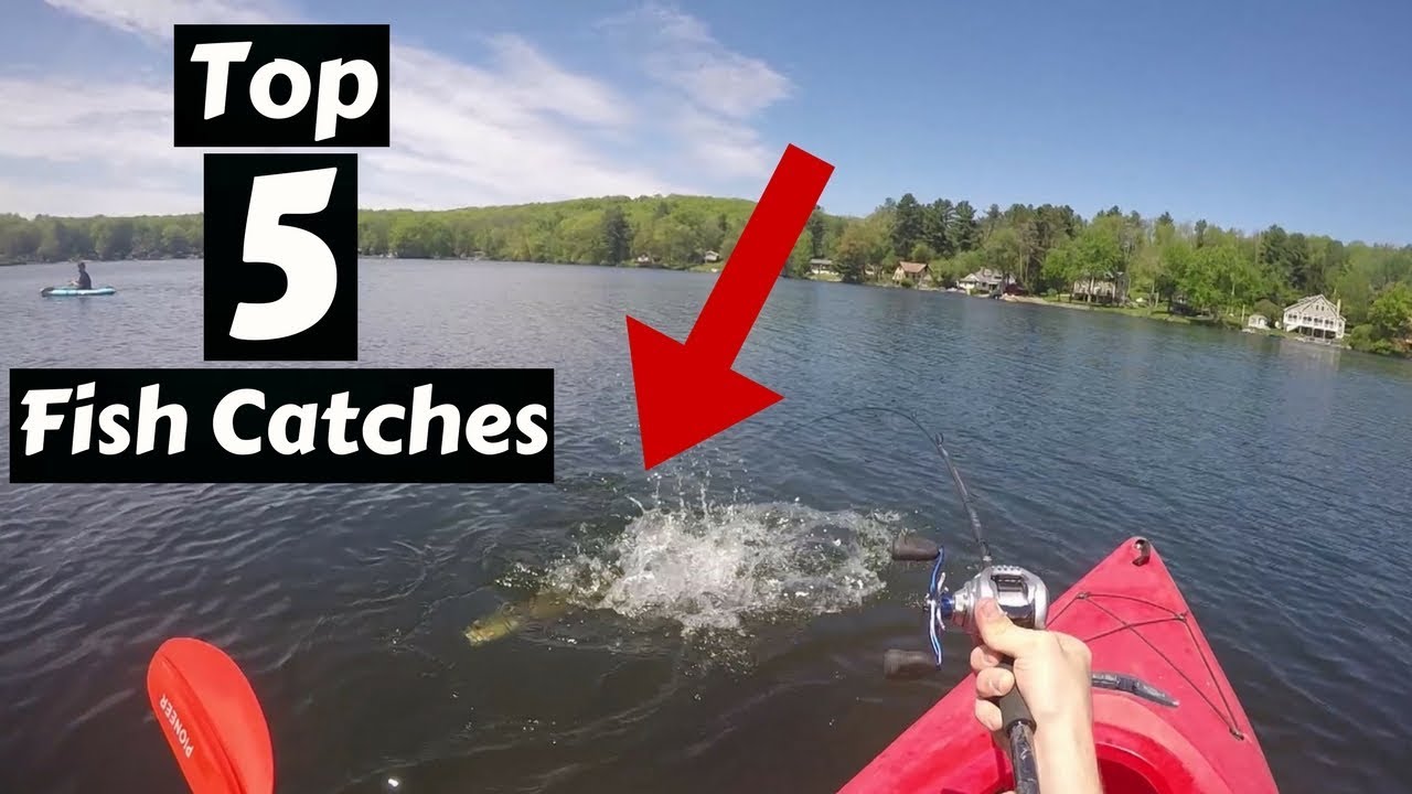 Top 5 Fish Catches of 2017 ~ AllFishing TV - YouTube