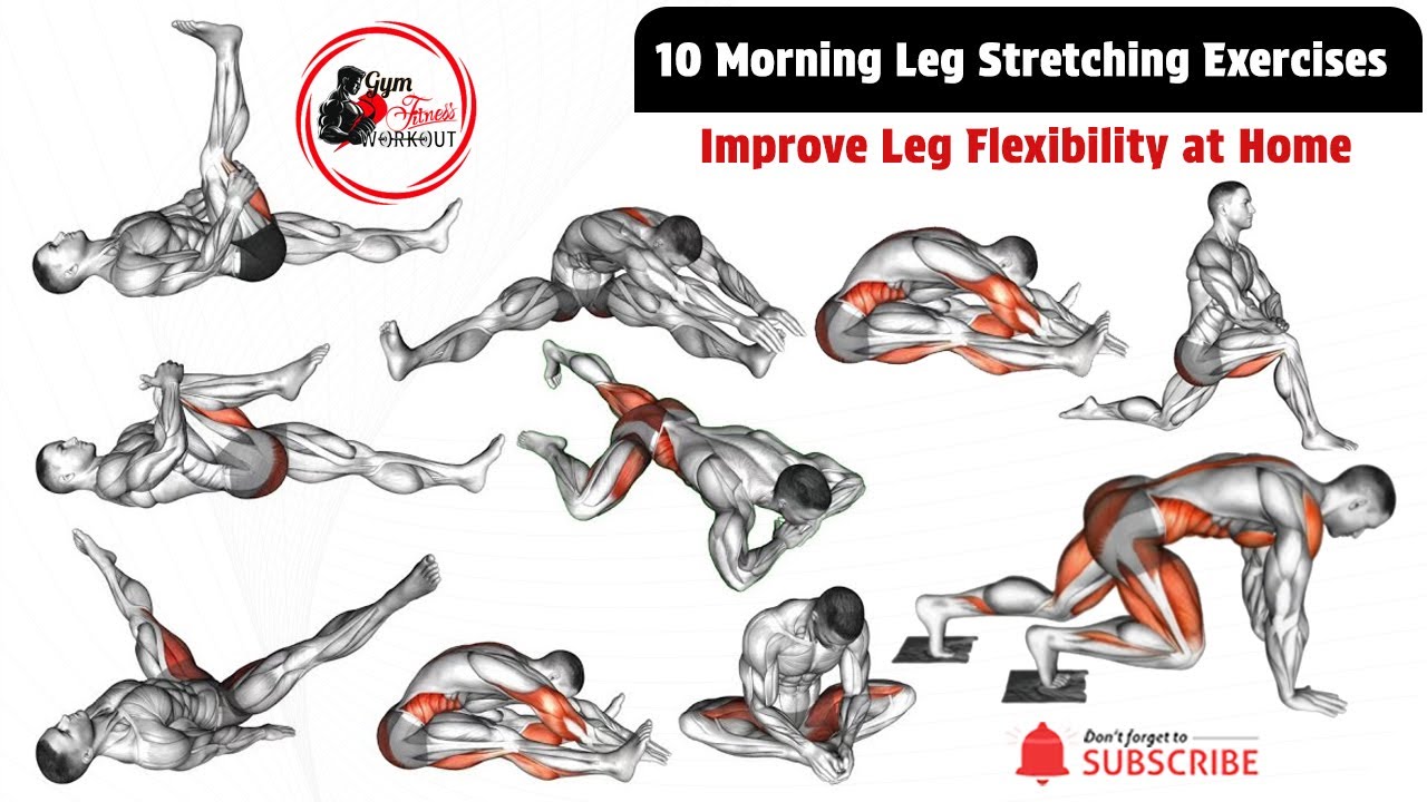 10 Morning Leg Stretching Exercises 🔥 Improve Leg Flexibility at Home ...