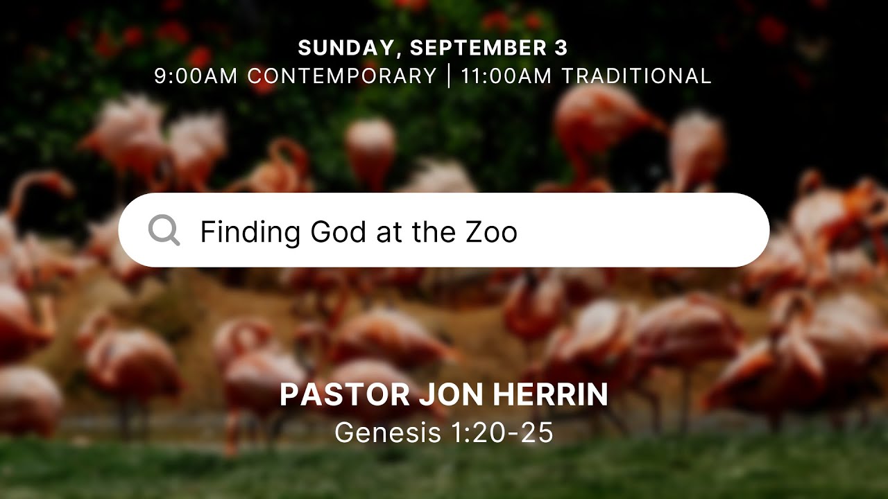 Traditional Service: Finding God at the Zoo - YouTube