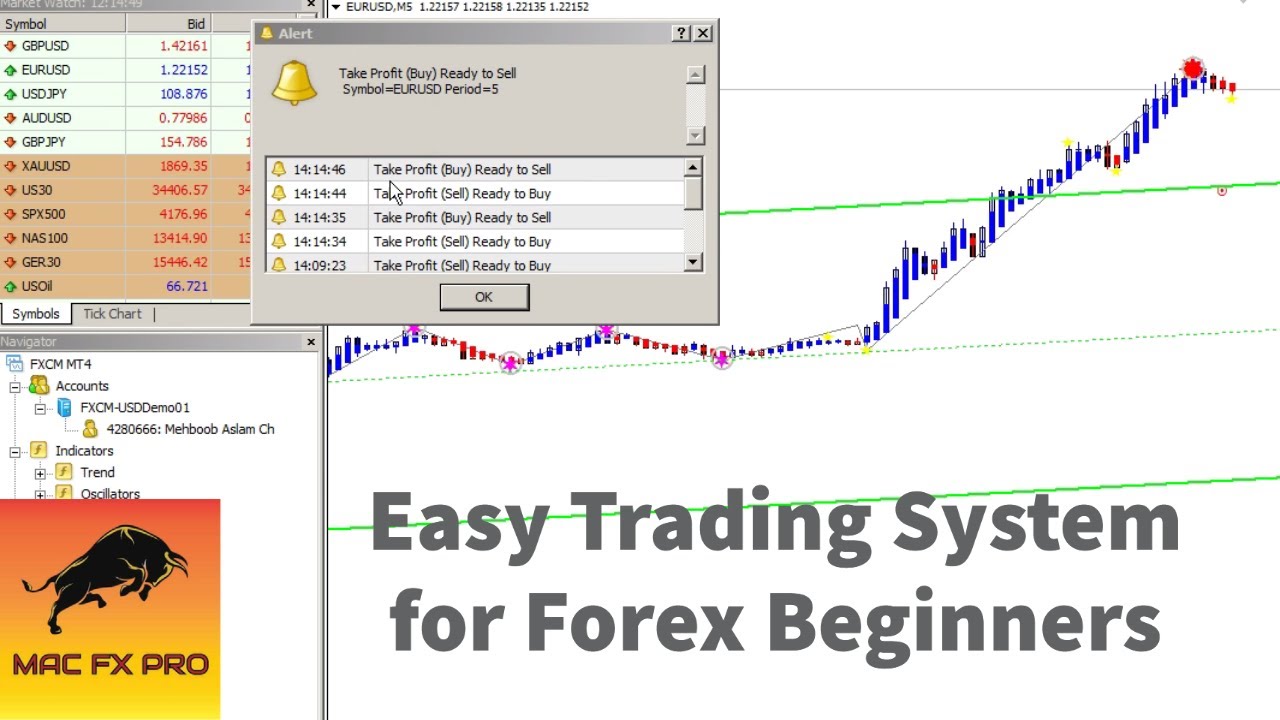 Easy Trading System for Forex Beginners | Best for Newbies Traders ...