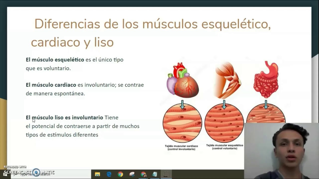META 4.1 (421-2 EQUIPO #1) MECANICA MUSCULAR - YouTube