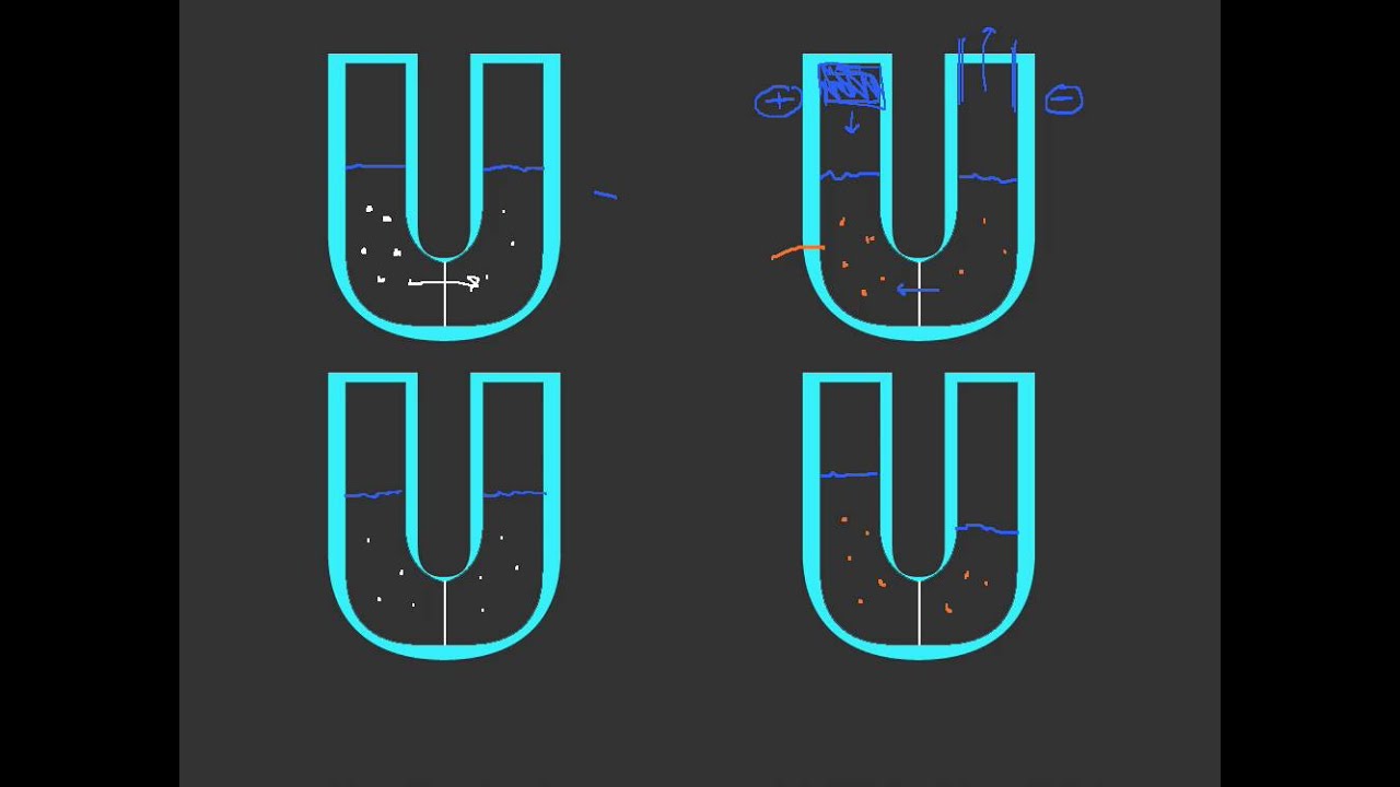 Tonicity & Osmolarity - YouTube