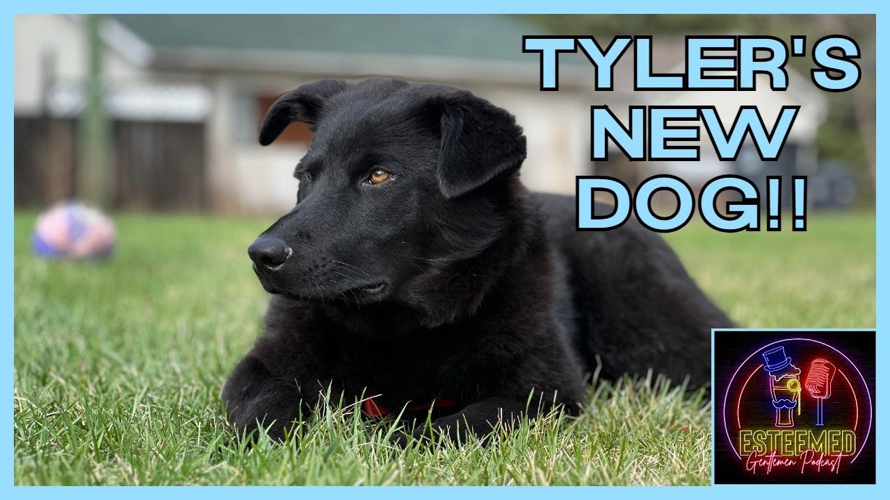 Tyler Got A Dog!! - The Esteemed Gentlemen Podcast - May 12, 2023 - YouTube