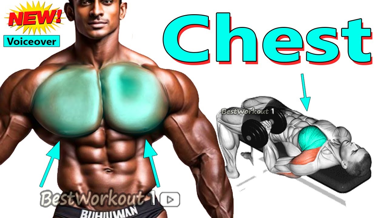 Building A Powerful And Chiseled Chest The Ultimate 6 Exercise