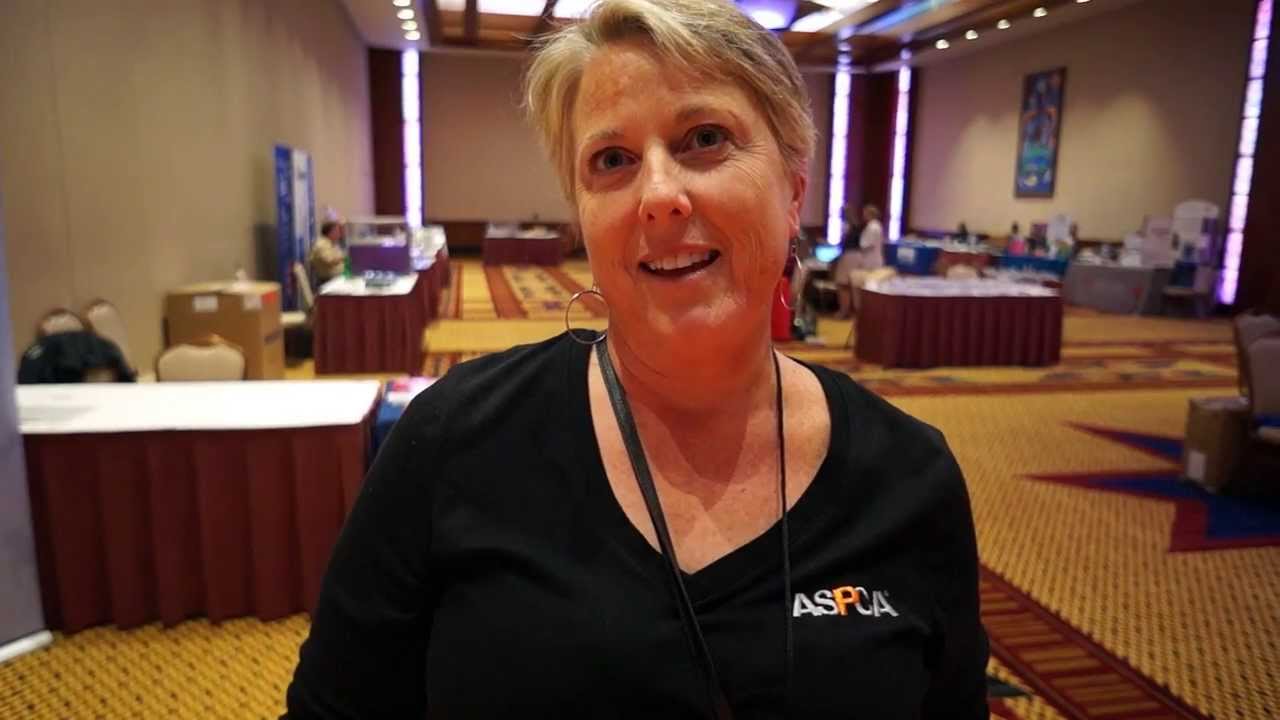 ASPCA's Kate Pullen is Watching the World Animal Awareness Society! Are ...