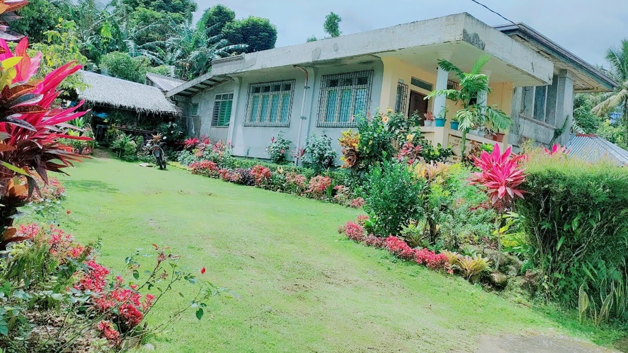 STUNNING ORNAMENTAL PLANTS SA GARDEN NG ISANG CERTIFIED PLANTITA NA ...