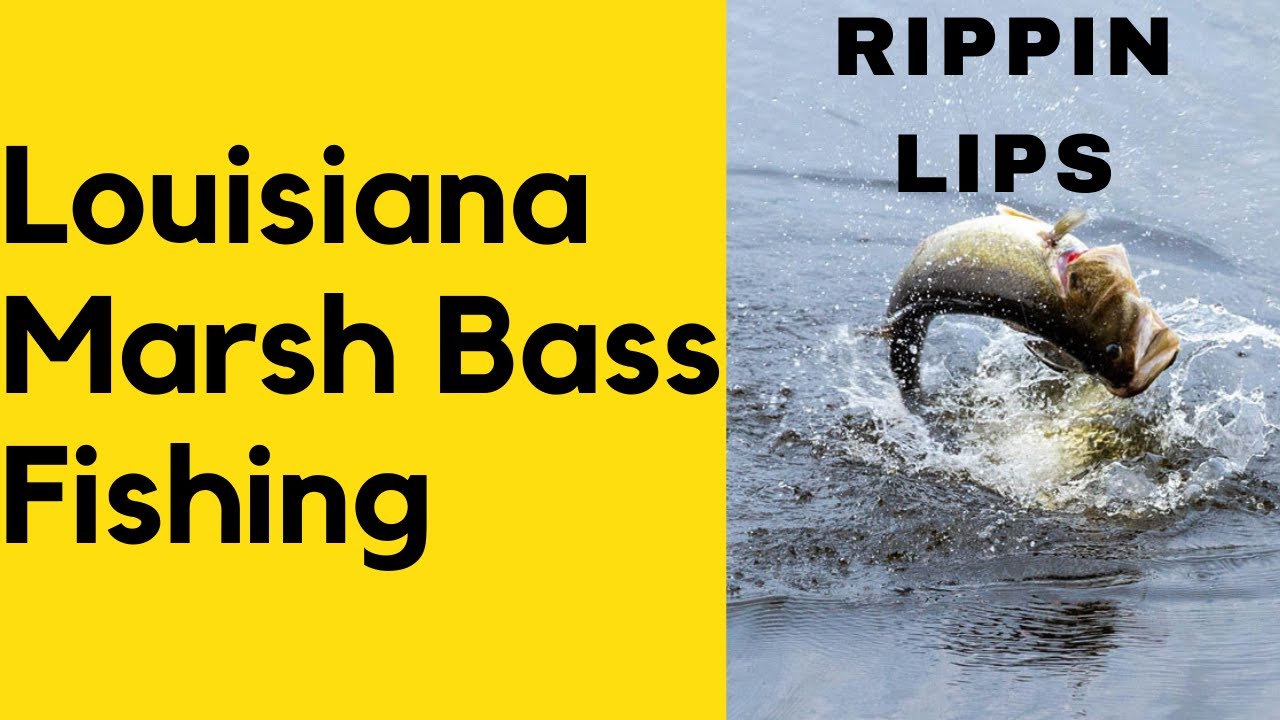 BASS Fishing in the Marsh!! Louisiana MARSH Bass Fishing, Rippin Lips ...