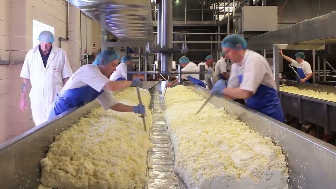 Cheese Making Process - Al Hariri Group