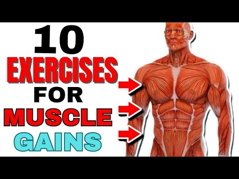 Ultimate Body Transformation: Gain Size and Weight Fast | Skinny to ...