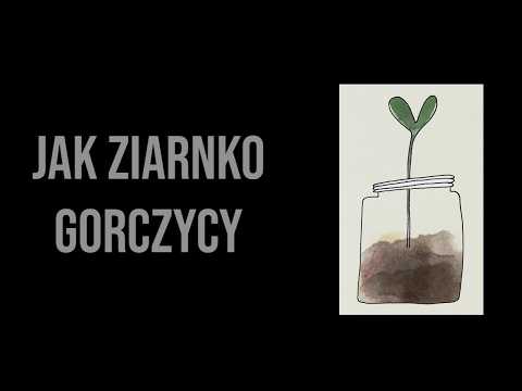 Mała wiara