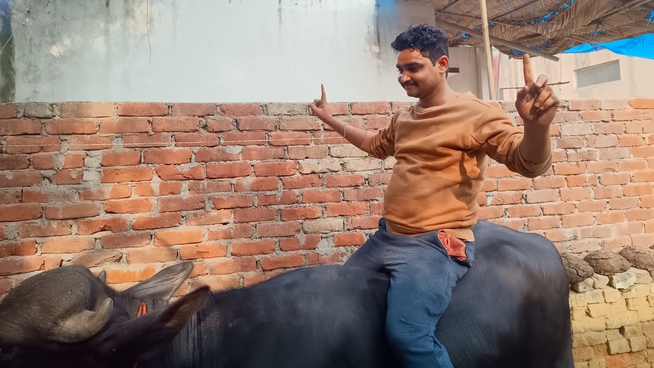 Comedy video Mintu chor - YouTube