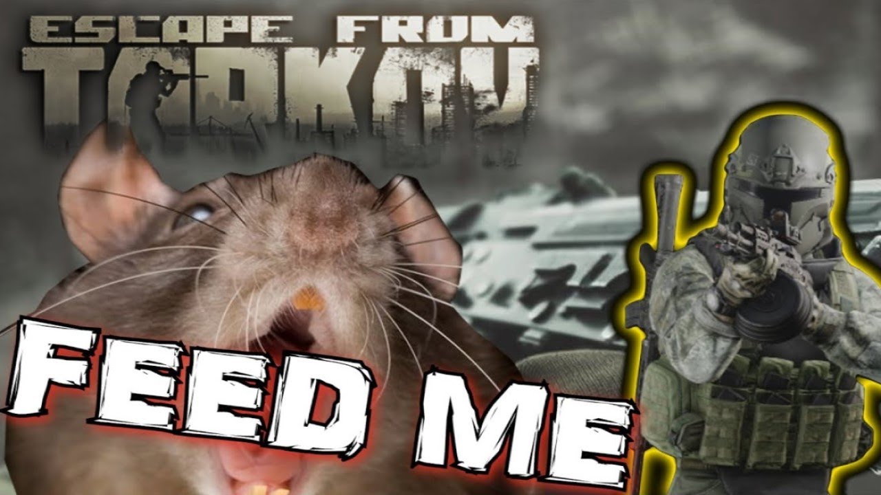 Escape from Tarkov: Don't Feed Rats - YouTube