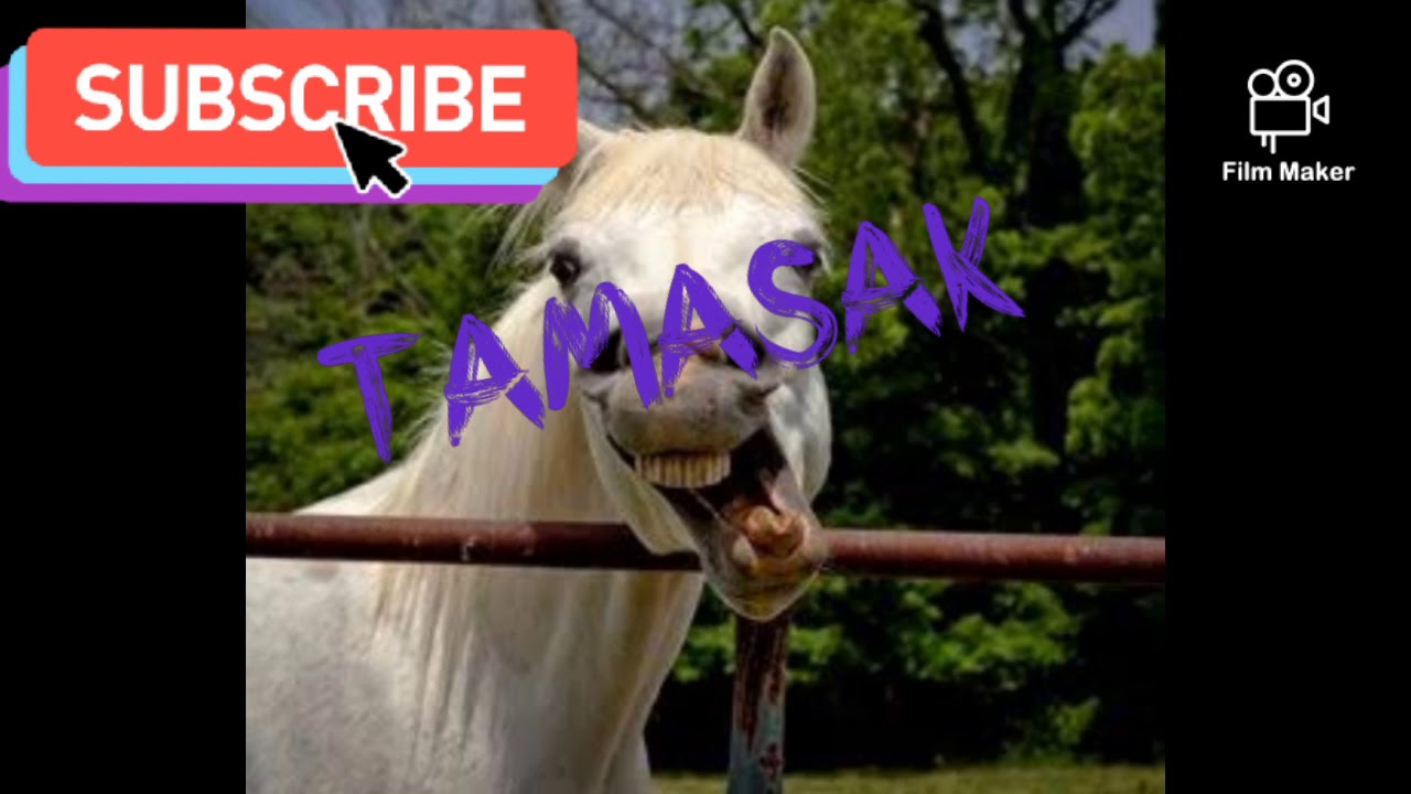 Tamasak - YouTube