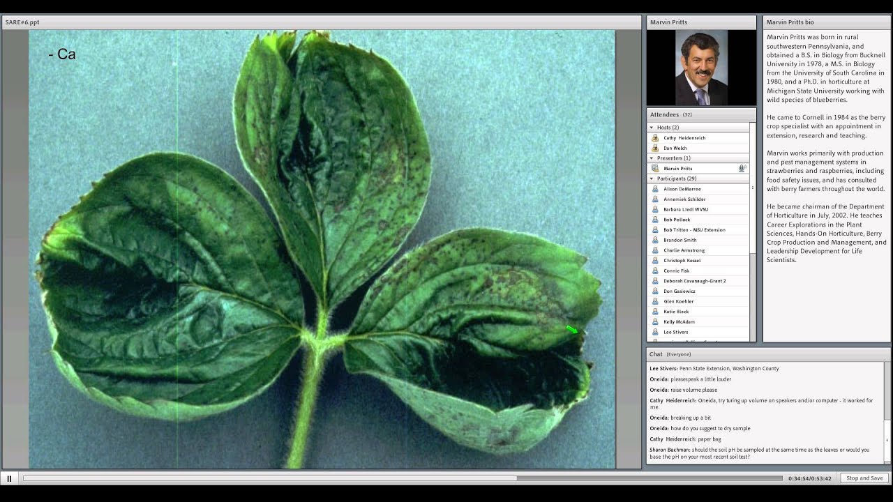 Foliar Testing and Sampling for Berries - YouTube