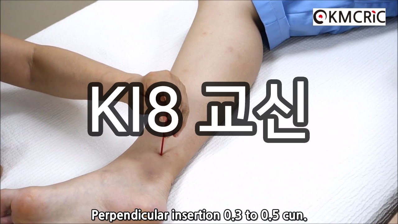 KI8 교신 交信 Jiaoxin (Eng sub) - KMCRIC WHO Standard acupoint DB - YouTube