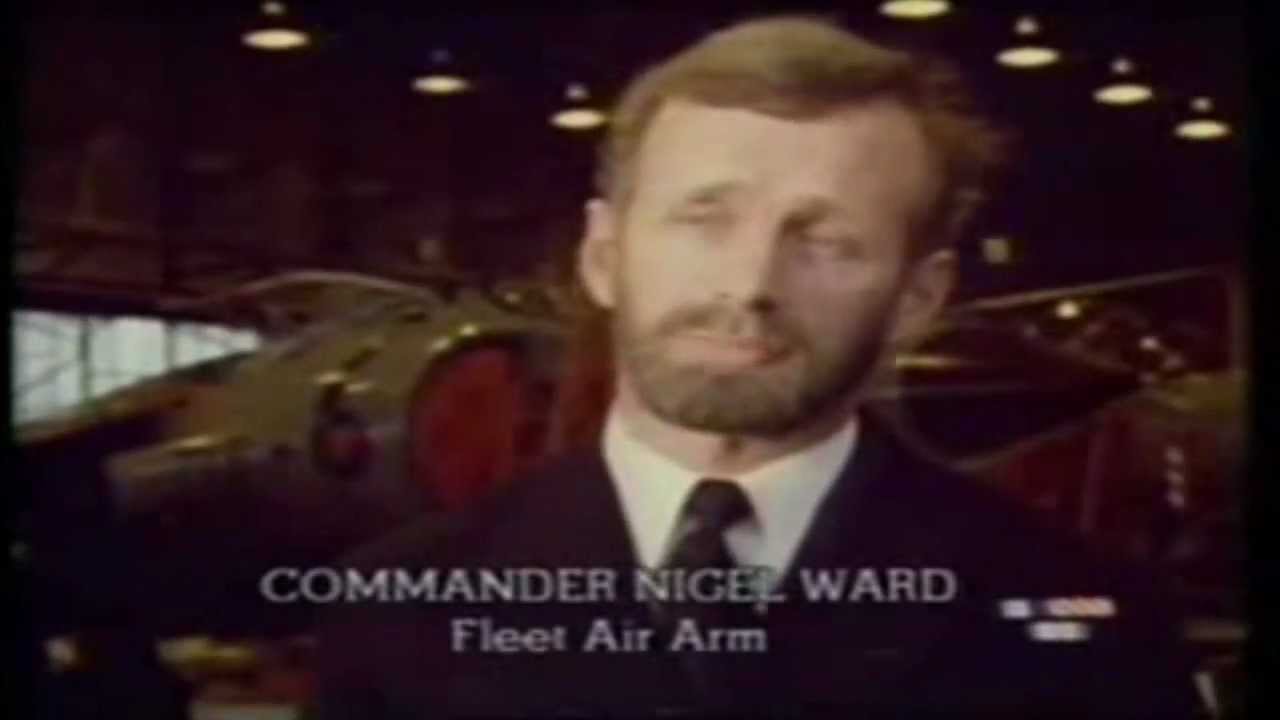 Sea Harrier over the Falklands: Cdr 'Sharkey' Ward on the role of the ...