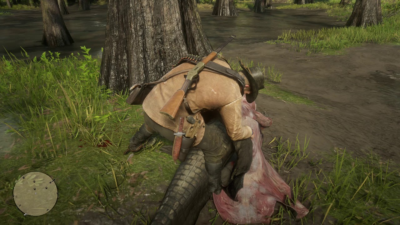 RDR 2: Exotics Prep - Egrets, Herons and Spoonbills collected in ...