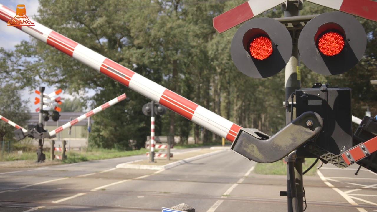 DUTCH RAILROAD CROSSING - Brummen - Engelenburglaan - YouTube