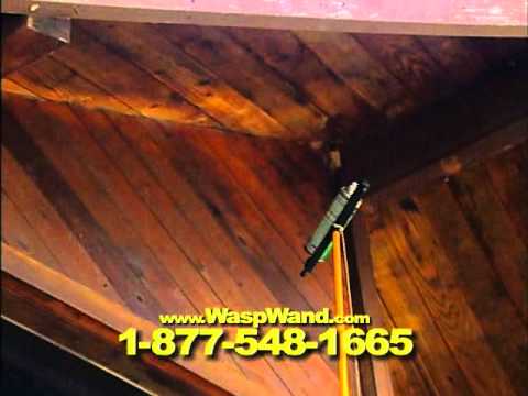 Wasp Wand - YouTube