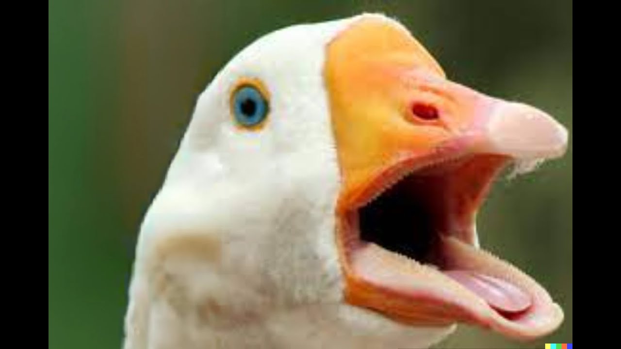 HJONK HJONK AM GOOSE - untitled goose game part 1 - YouTube