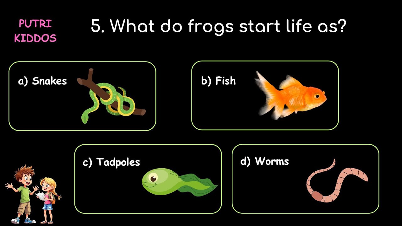 Animal Quiz for Kids – Animals general knowledge Quiz - YouTube