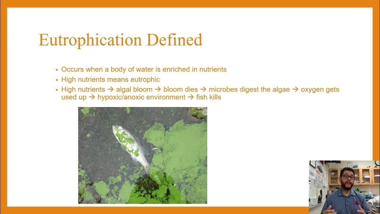 Unit 8, Topic 5, Eutrophication - YouTube