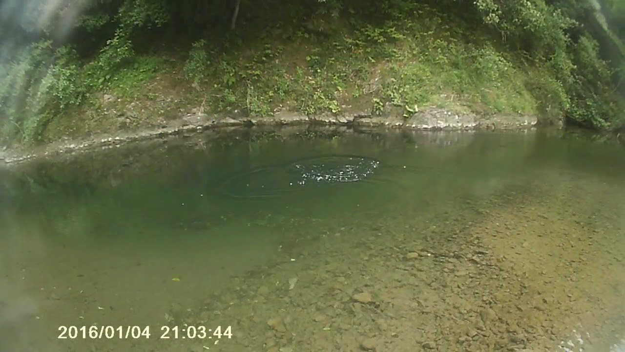 Fishing and Swimming in the Pakihi River - YouTube