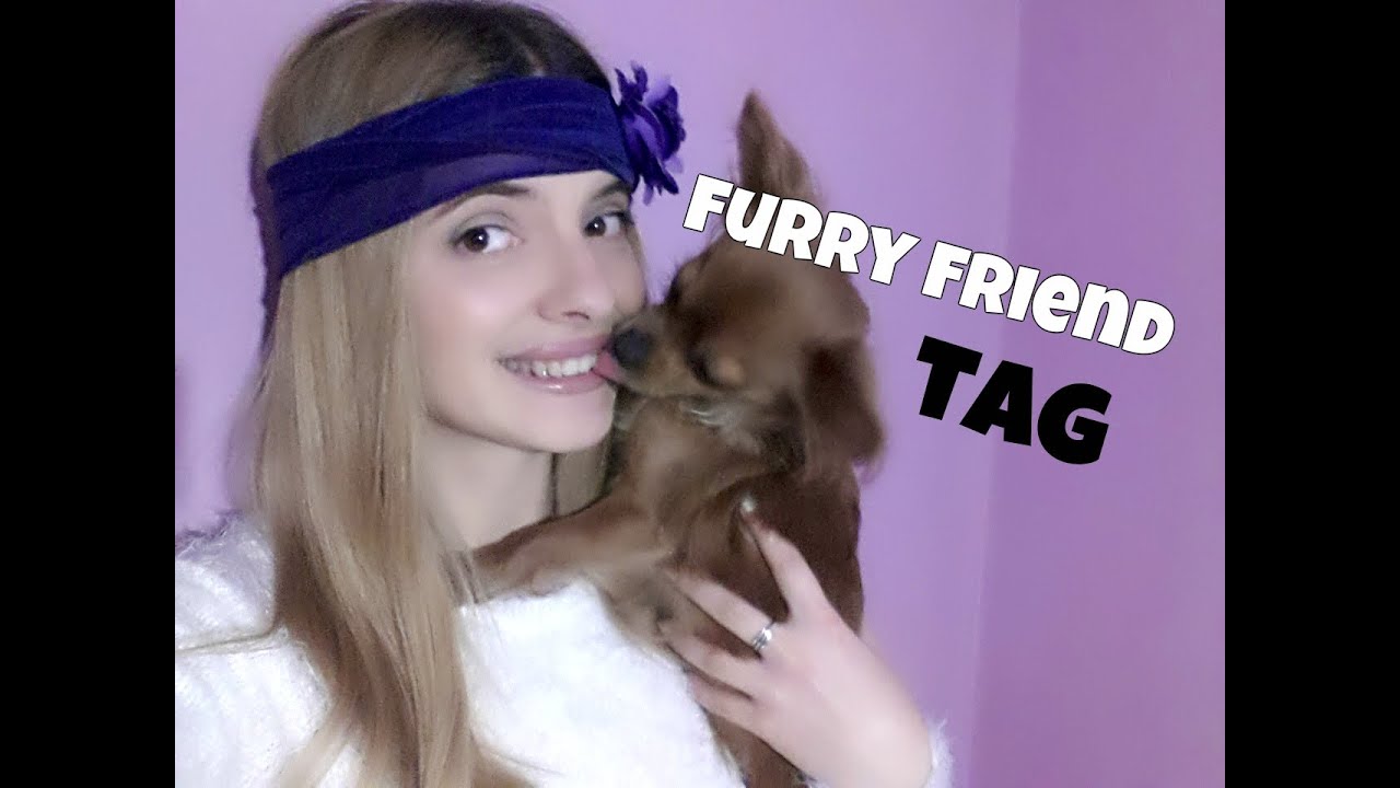 Furry Friend TAG - YouTube