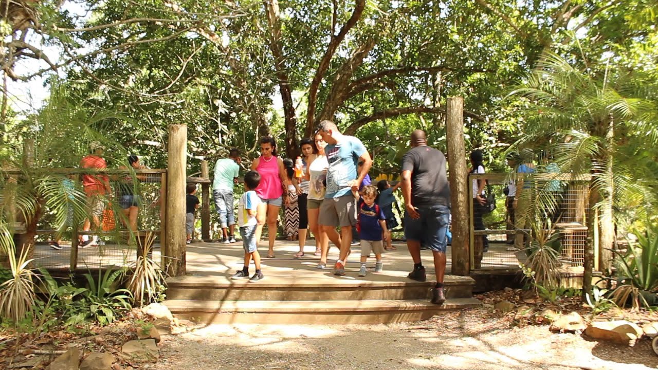 Parque Municipal Summit - YouTube