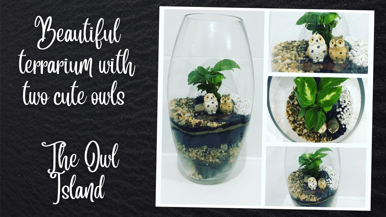 DIY How to make a terrarium -The Owl Island #terrariums #ayukiacrafty ...