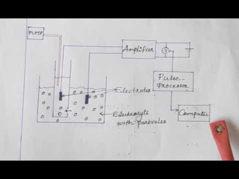 Complete blood count using automatic blood cell counter - YouTube