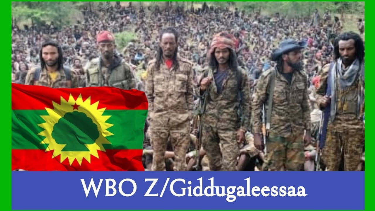 WBO ZOONII GIDDUGALEESSAA - YouTube