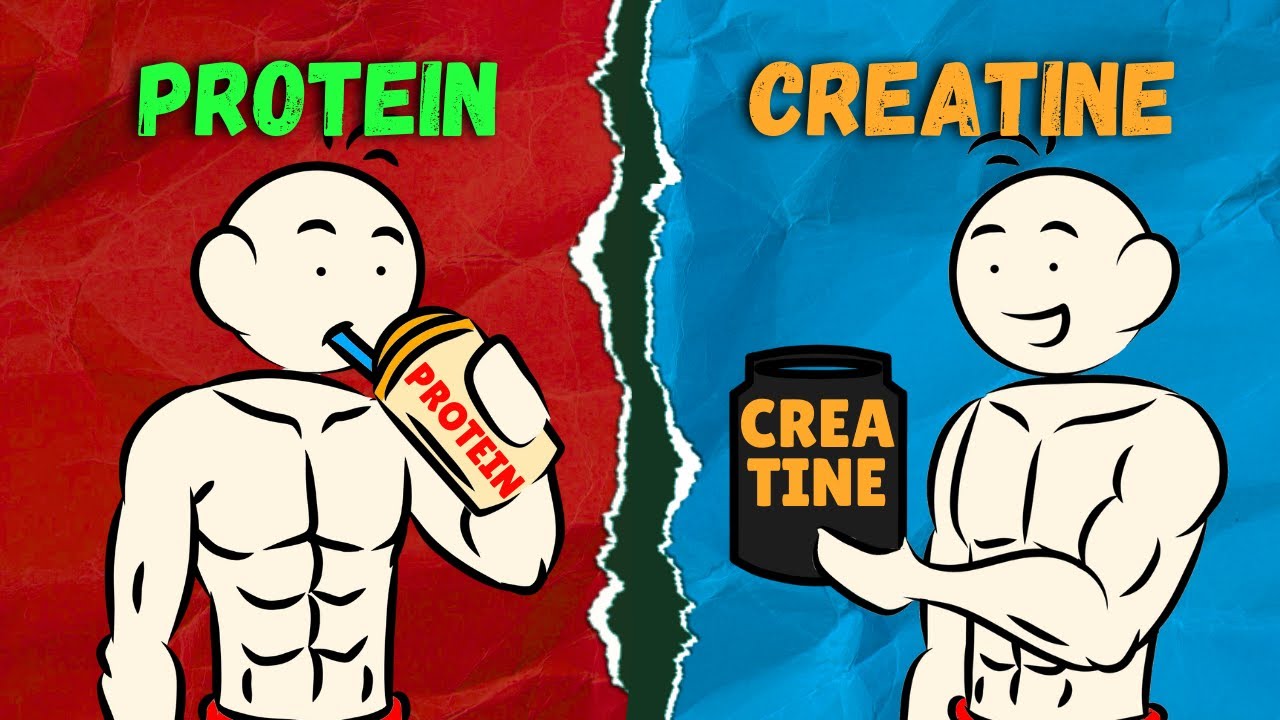 Protein Powder and Creatine (Best Protein Sources For Building Muscles ...