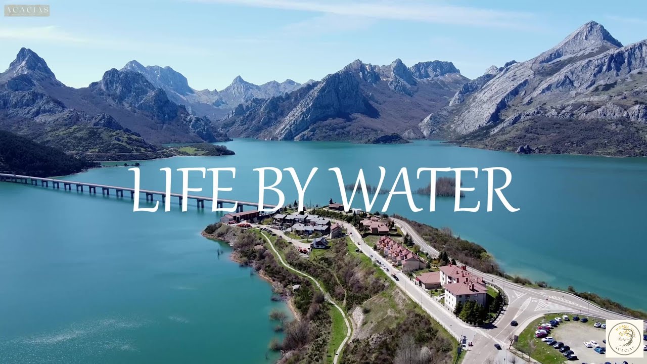 #6 | Life by water [4K] - YouTube