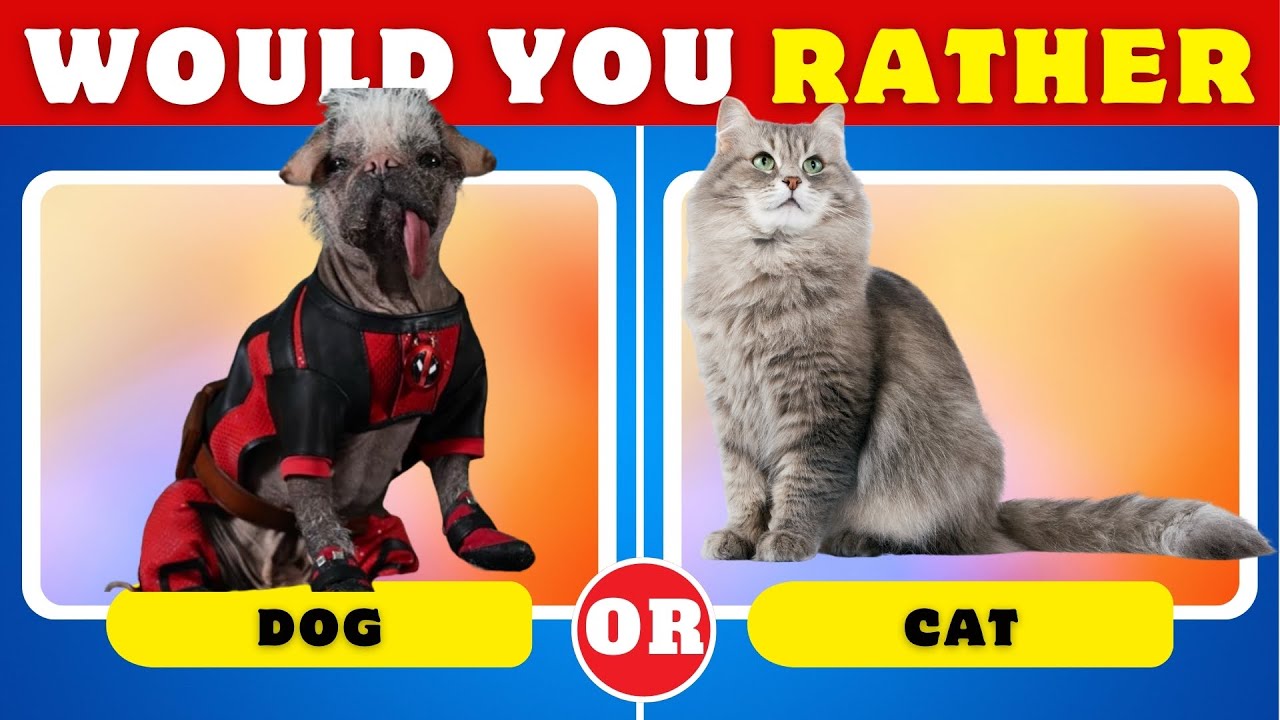 Would You Rather...? ANIMALS Edition 🐶😺QuizQuest DifferenceVision - YouTube