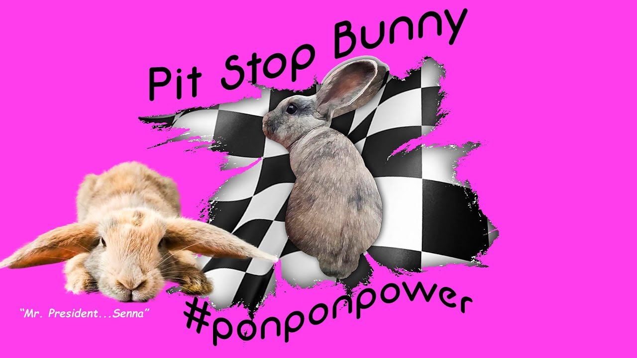 "Pit Stop Bunny" - YouTube