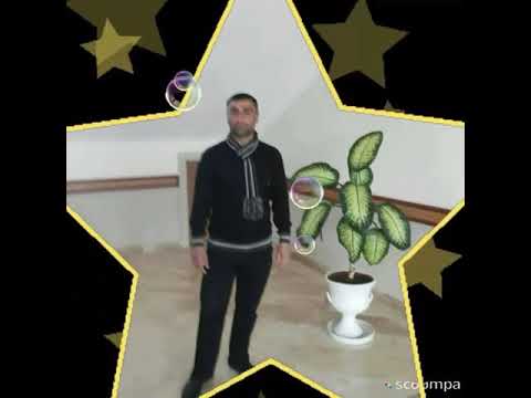 Mustafa Quliyev
