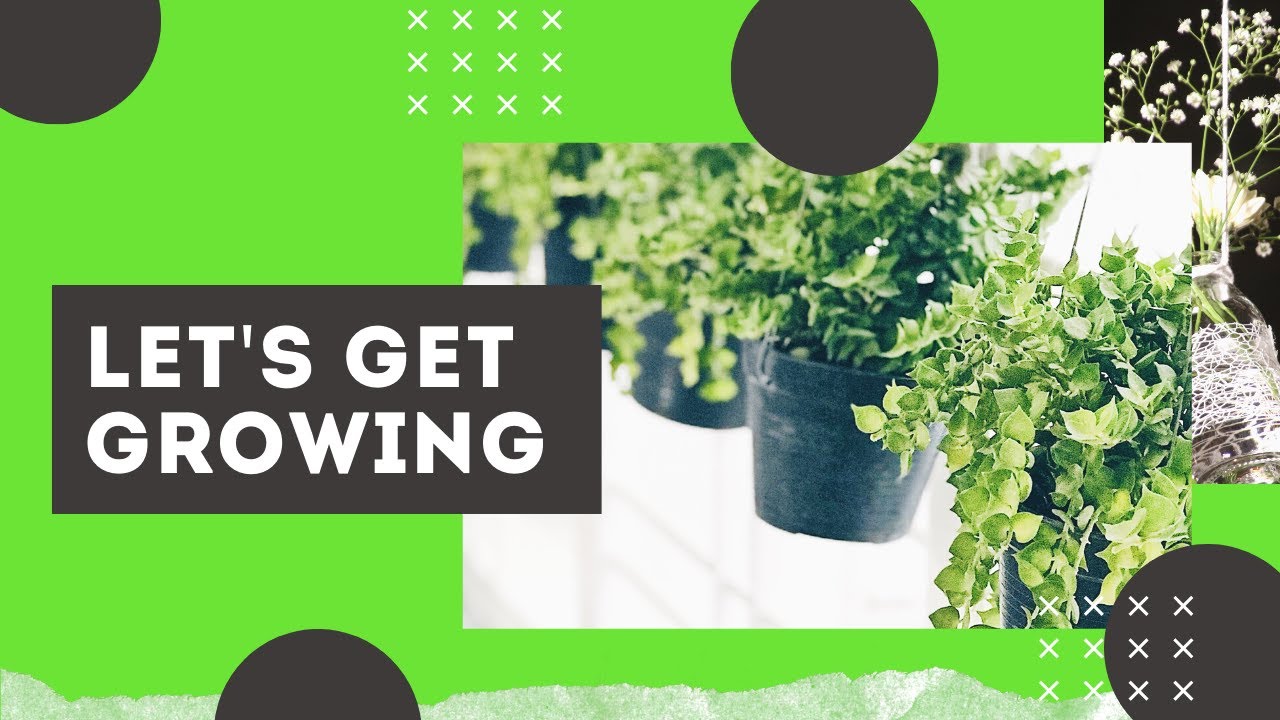 Let's Get Growing... - YouTube