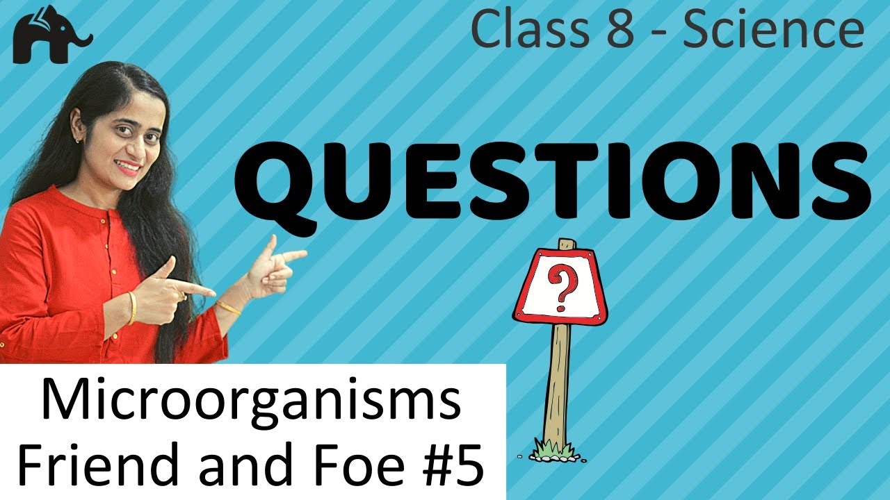 Questions | Microorganisms Friend and Foe#5| Class 8 Science - YouTube