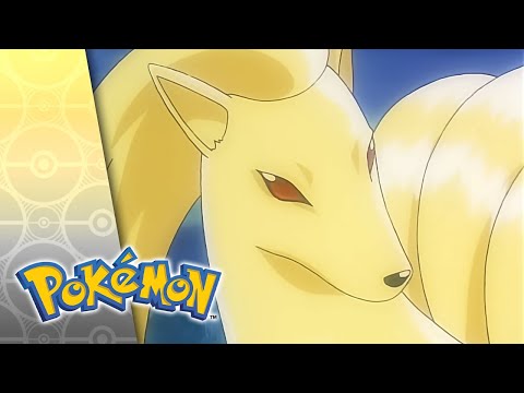 Just Waiting on a Friend | POKÉMON FULL EPISODE 23 | Season 5
