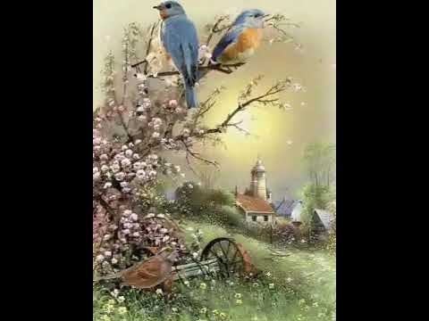 Duam belli duyan belli gerisi takdiri ilahi la ilahe illallah Muhammeden Resulullah dua.ile🌹