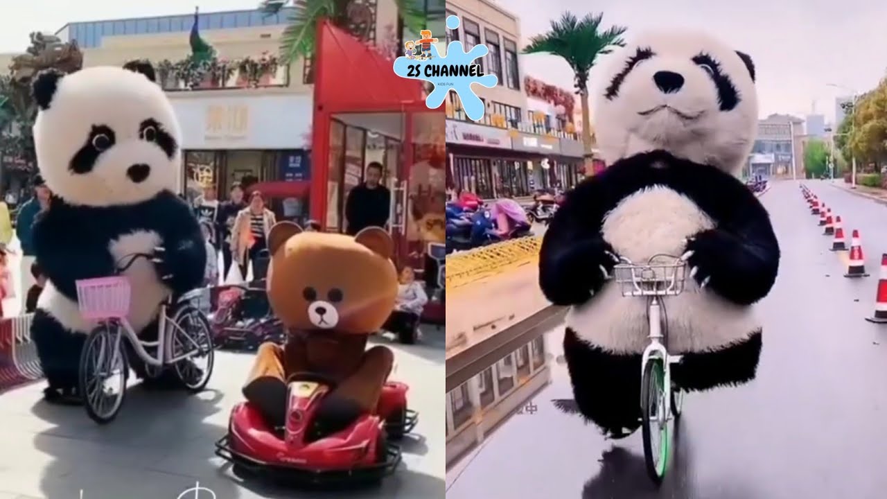 badut lucu | panda besar lucu bikin ngakak | beruang jahil - YouTube