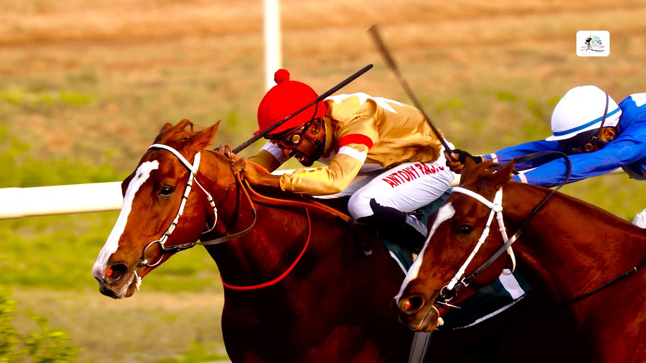 CALCUTTA DERBY WINNER 2026 | ARRIVED - YouTube