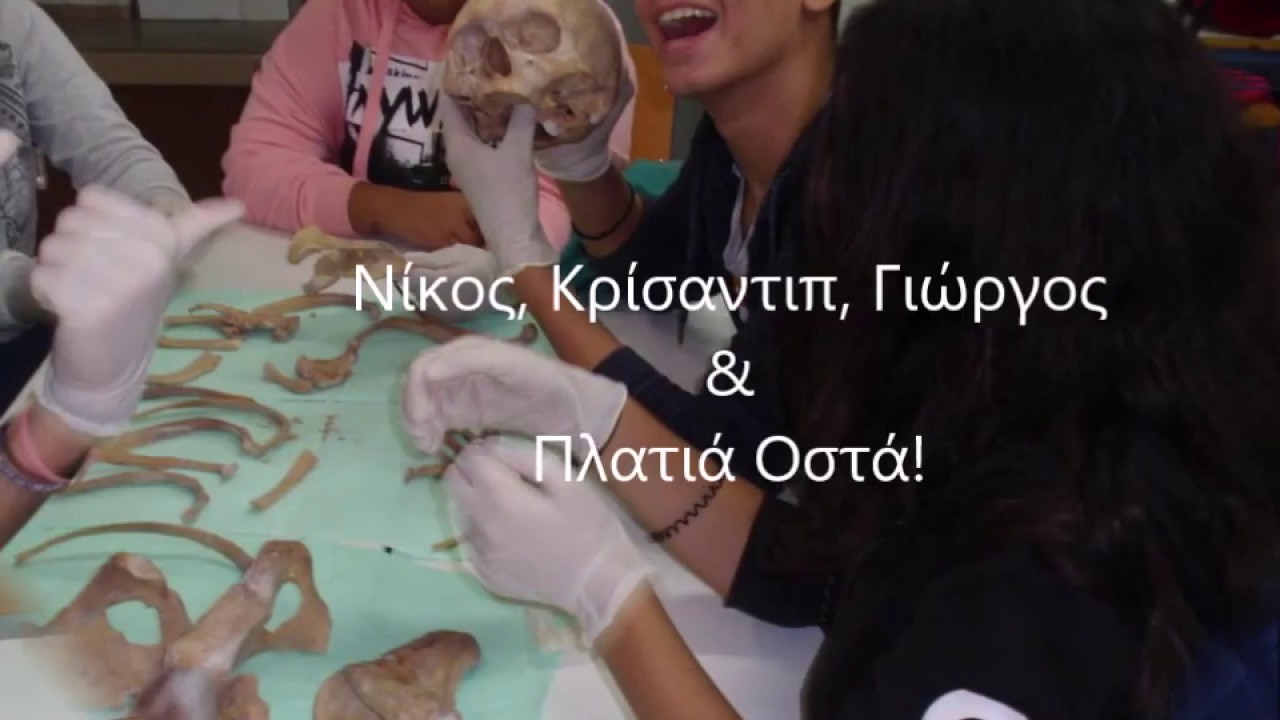 ΤΟΜΕΑΣ ΥΓΕΙΑΣ, ΠΡΟΝΟΙΑΣ & ΕΥΕΞΙΑΣ, 1ο ΕΠΑΛ ΡΕΘΥΜΝΟΥ - YouTube