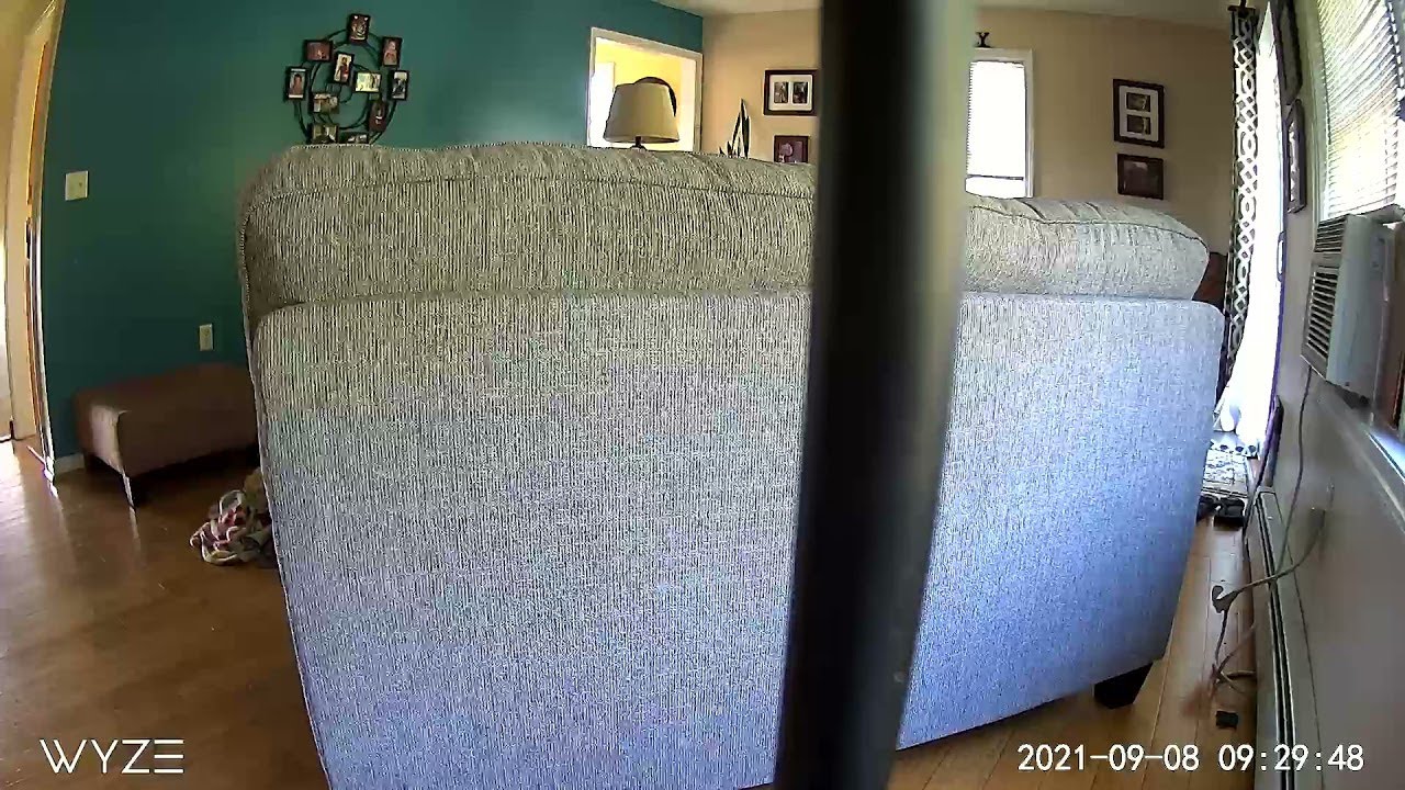 Rambunctious Dog Wreaks Havoc on Living Room Furniture || ViralHog ...